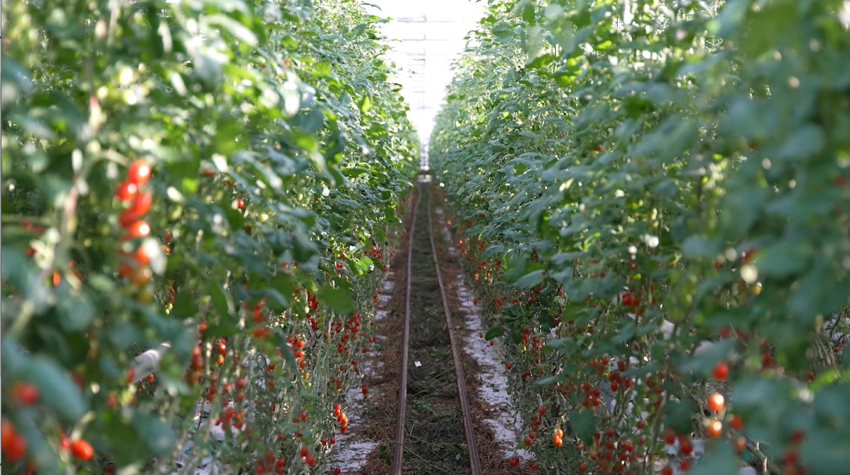 Samenwerking Boeters Ketel Constructie (BKC) en OSH - OSH bv